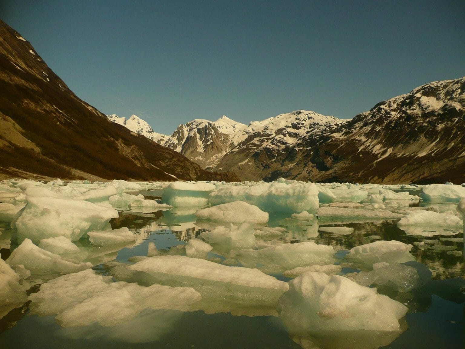 Glacier Bay and Scenery Gallery | Gustavus Visitor Association